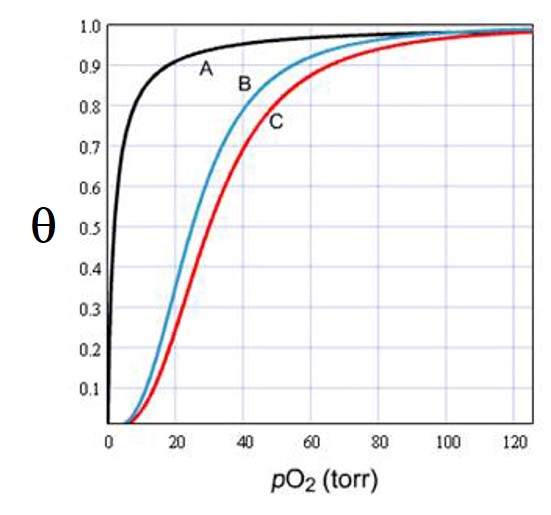 Solved Many hemoglobin variants are known to exist that have | Chegg.com
